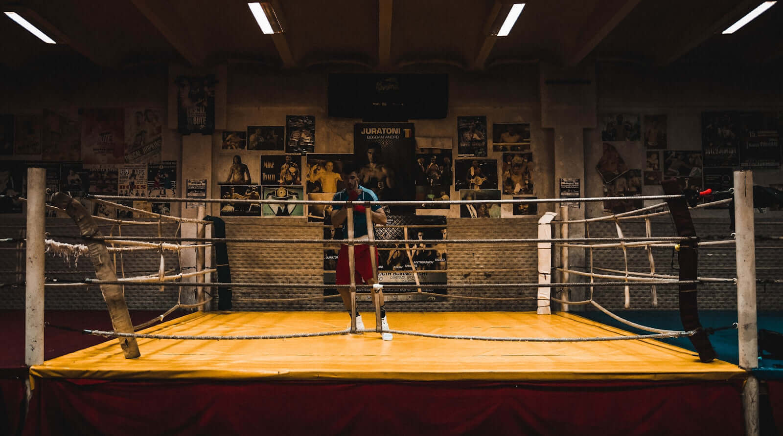 武术：探索成功的关键平衡 – Paragon Elite Fight Group | Premium Boxing & BJJ Equipment