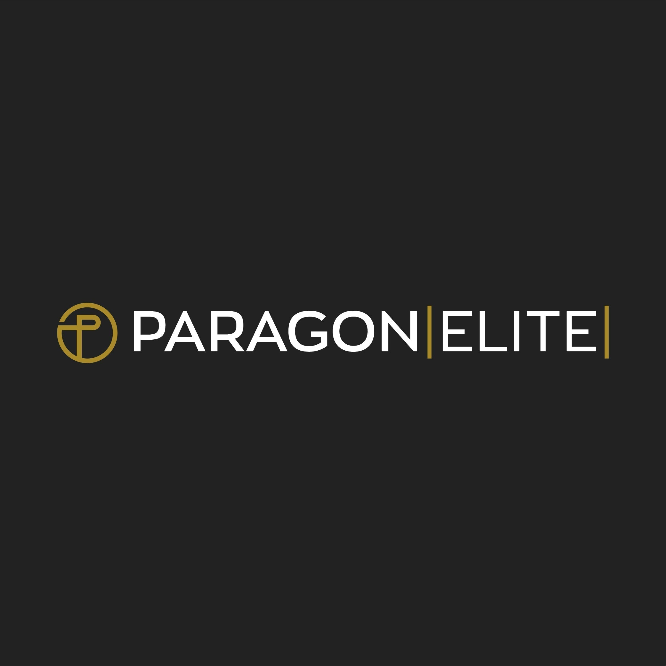 2025年最佳拳击和BJJ比赛精彩回顾 – Paragon Elite Fight Group | Premium Boxing & BJJ ...